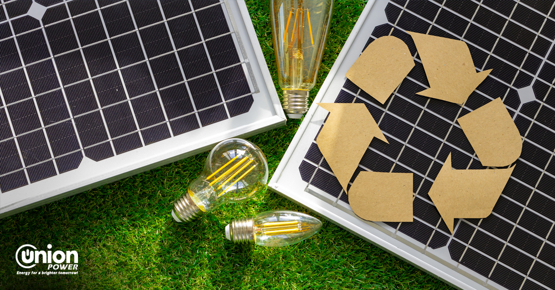 Green Management: Building A Sustainable Future For Businesses | Union ...